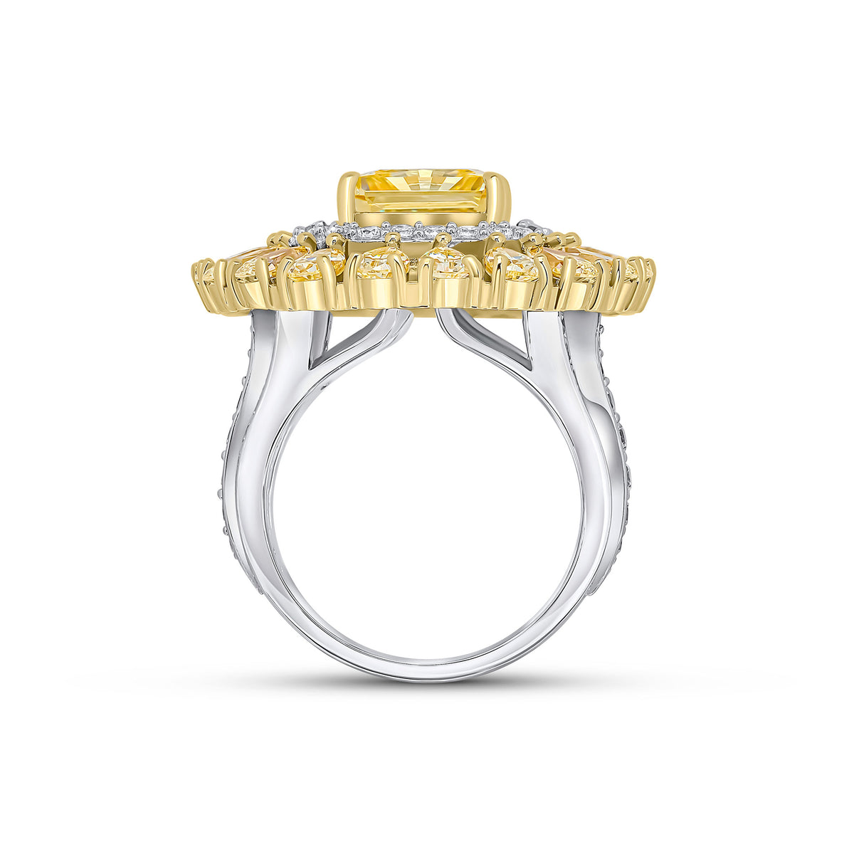 Amy Ring – C I R O