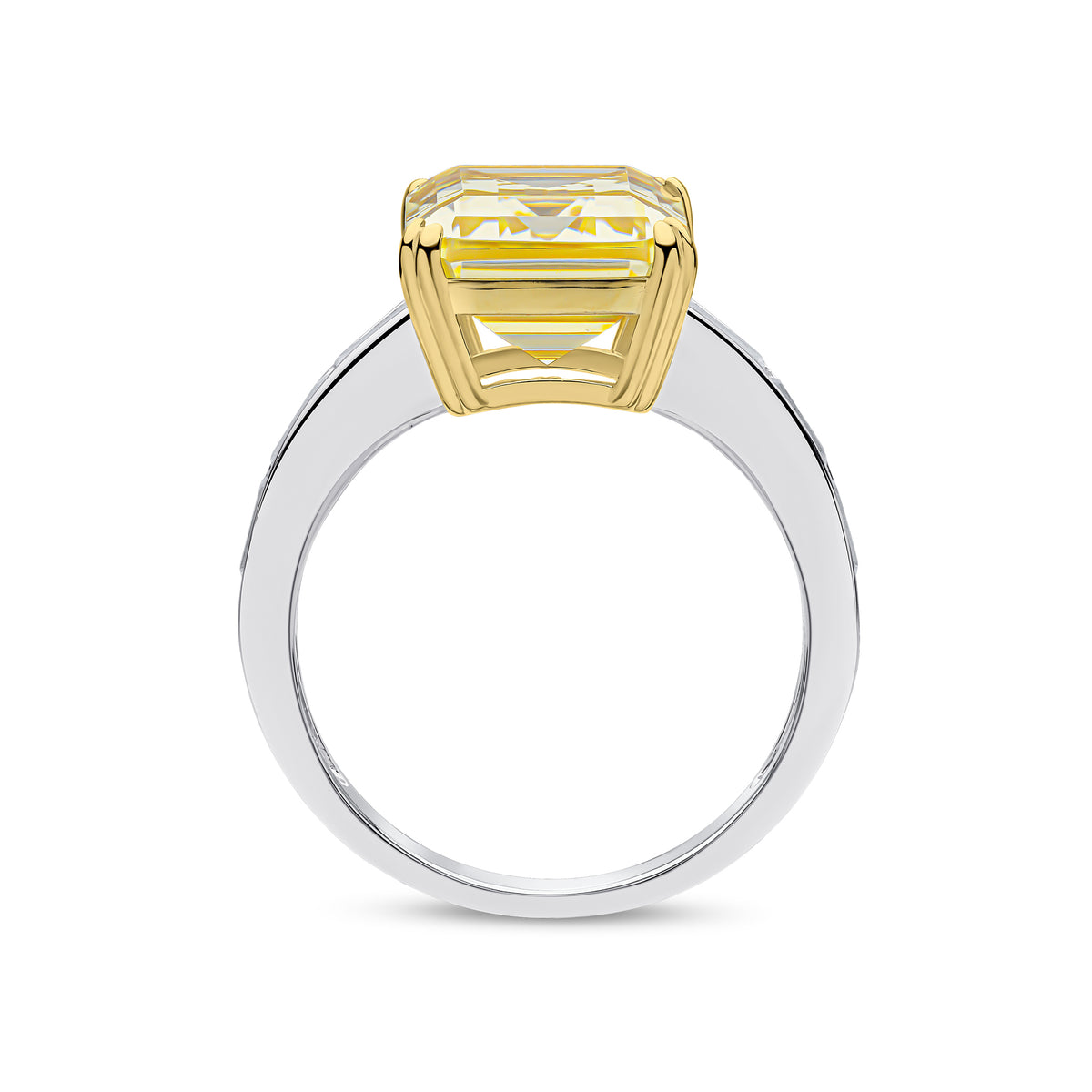 Maxine Ring (Canary) – C I R O